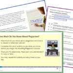 MLA Advice Archives - Excelsior OWL