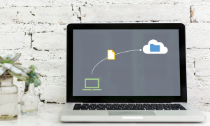 E-Portfolios - Excelsior OWL