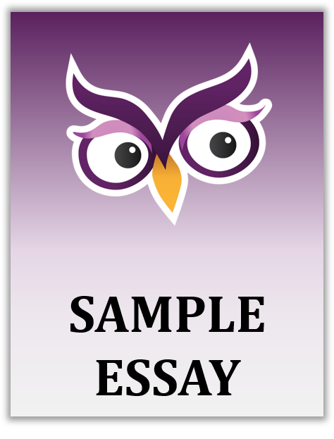  Rhetorical Analysis Paper Example Rhetorical Analysis Essay An Example Of A Web Page Case 